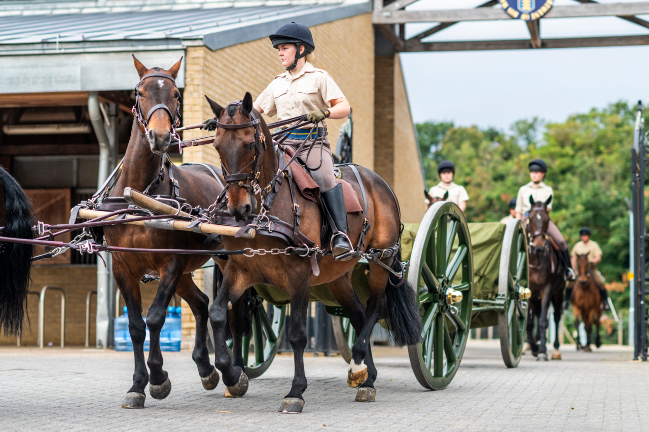 Behind-The-Scenes With The King's Troop Royal Horse Artillery | London ...