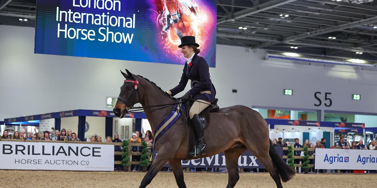 Showing Stars to Shine Bright once again at London International Horse ...